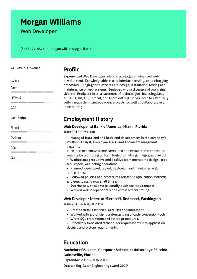 Build a Beautiful Resume in 5 Minutes | NextLevelResume.co